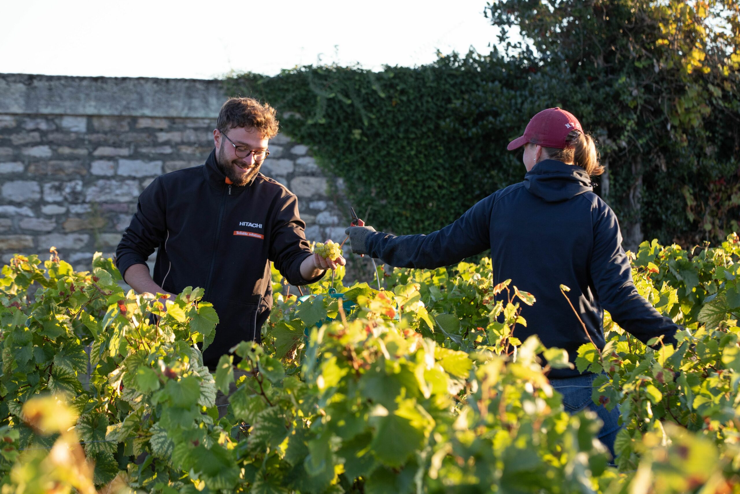 Life at the Domain - Domaine Amiot et Fils